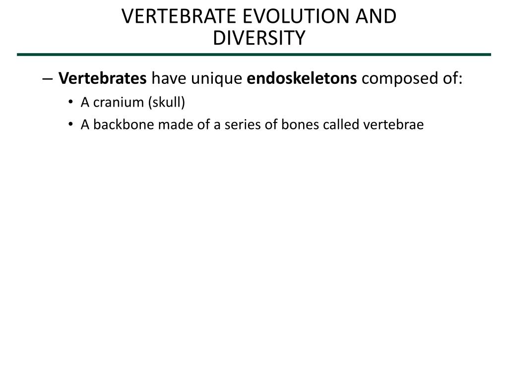 PPT - VERTEBRATE EVOLUTION AND DIVERSITY PowerPoint Presentation, free ...