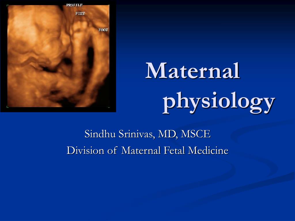 PPT - Maternal physiology PowerPoint Presentation, free download - ID:1267468