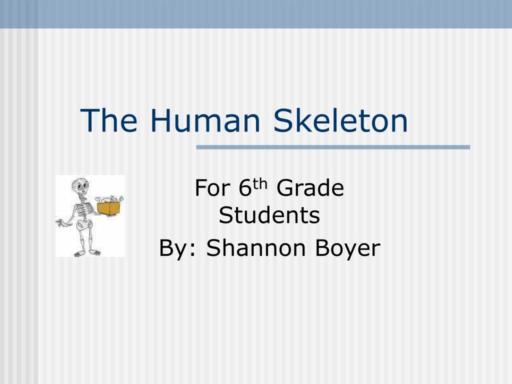 PPT - The Human Skeleton PowerPoint Presentation, free download - ID ...