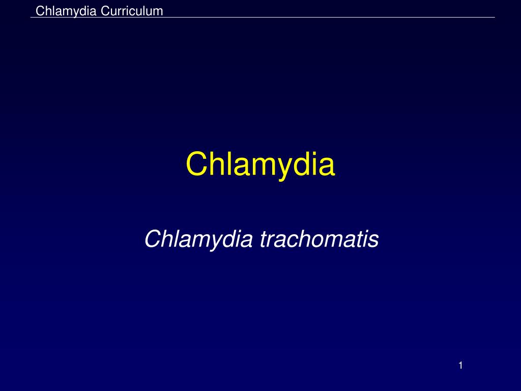 PPT - Chlamydia PowerPoint Presentation, free download - ID:1270135