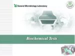 PPT - Biochemical Tests PowerPoint Presentation, free download - ID:587796