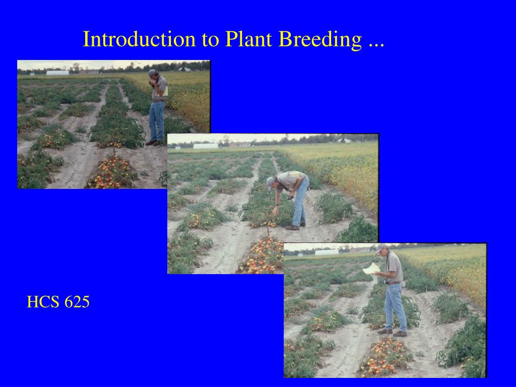 PPT - Introduction to Plant Breeding ... PowerPoint Presentation, free ...