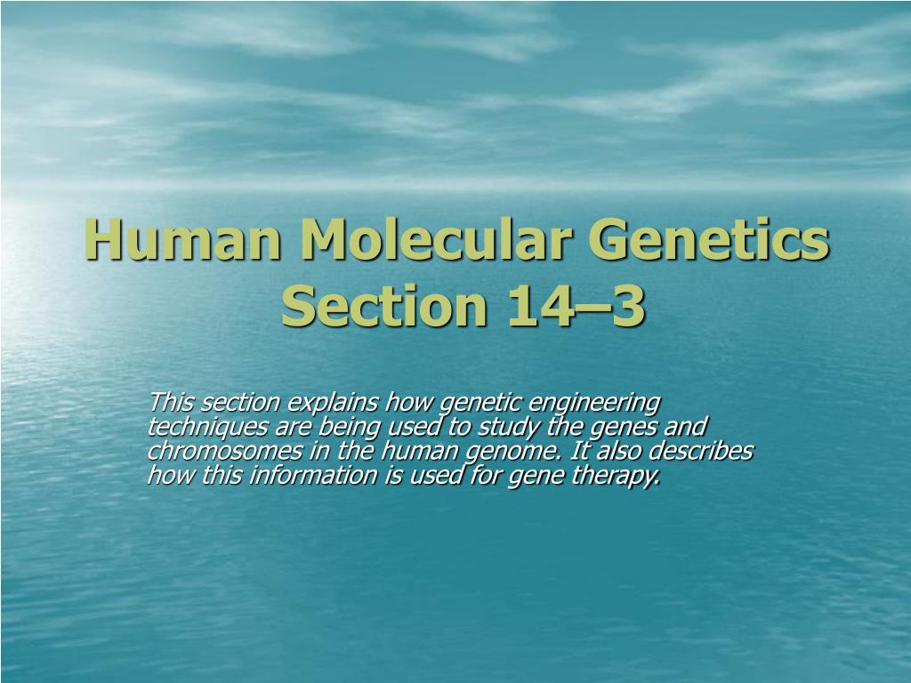 PPT - Human Molecular Genetics Section 14–3 PowerPoint Presentation ...