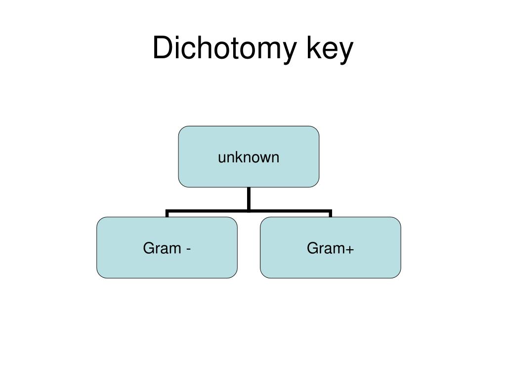 PPT - Dichotomy key PowerPoint Presentation, free download - ID:1272718