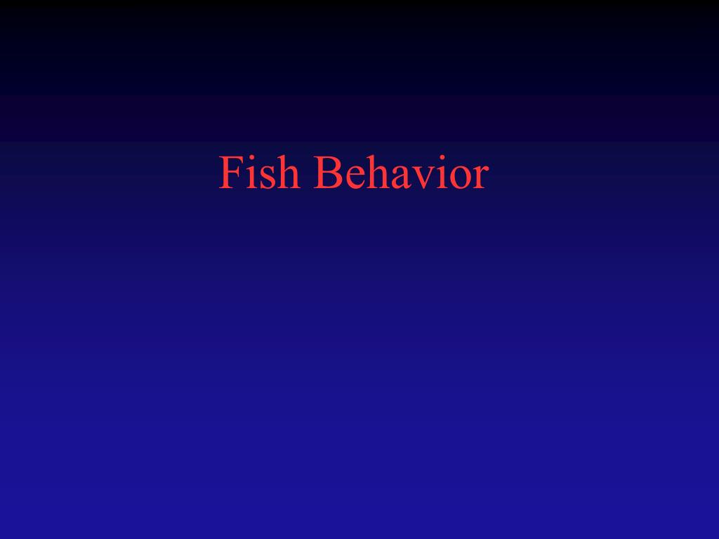 PPT - Fish Behavior PowerPoint Presentation, free download - ID:1273225