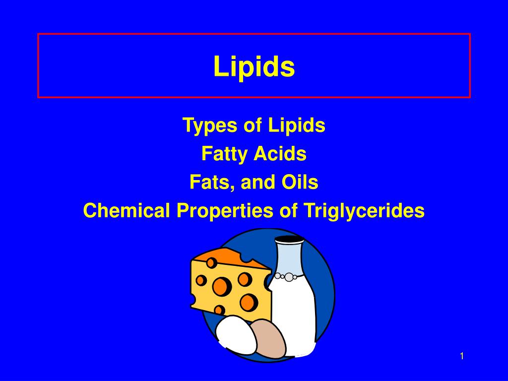 PPT - Lipids PowerPoint Presentation, free download - ID:1273316