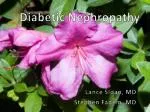 PPT - Categorization of the diabetic nephropathy by Tervaert ...