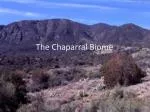 PPT - The Chaparral Biome PowerPoint Presentation, free download - ID ...