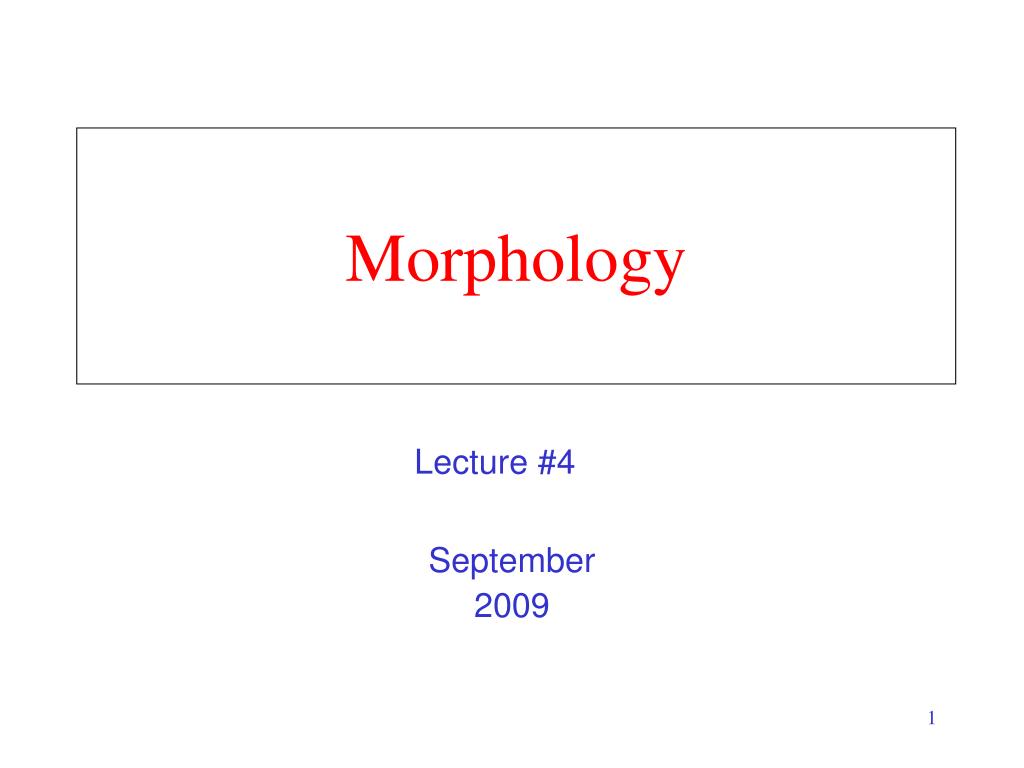 PPT - Morphology PowerPoint Presentation, free download - ID:1275954
