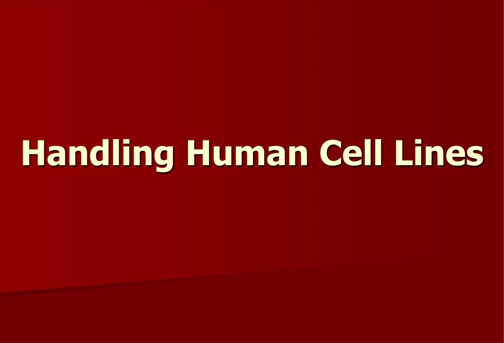 PPT - Handling Human Cell Lines PowerPoint Presentation, free download ...