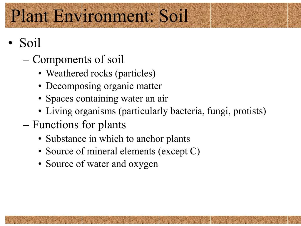 PPT - Plant Environment: Soil PowerPoint Presentation, free download ...