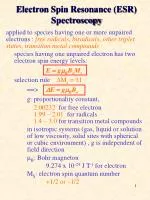 PPT - Principle of Electron Spin Resonance dating PowerPoint ...