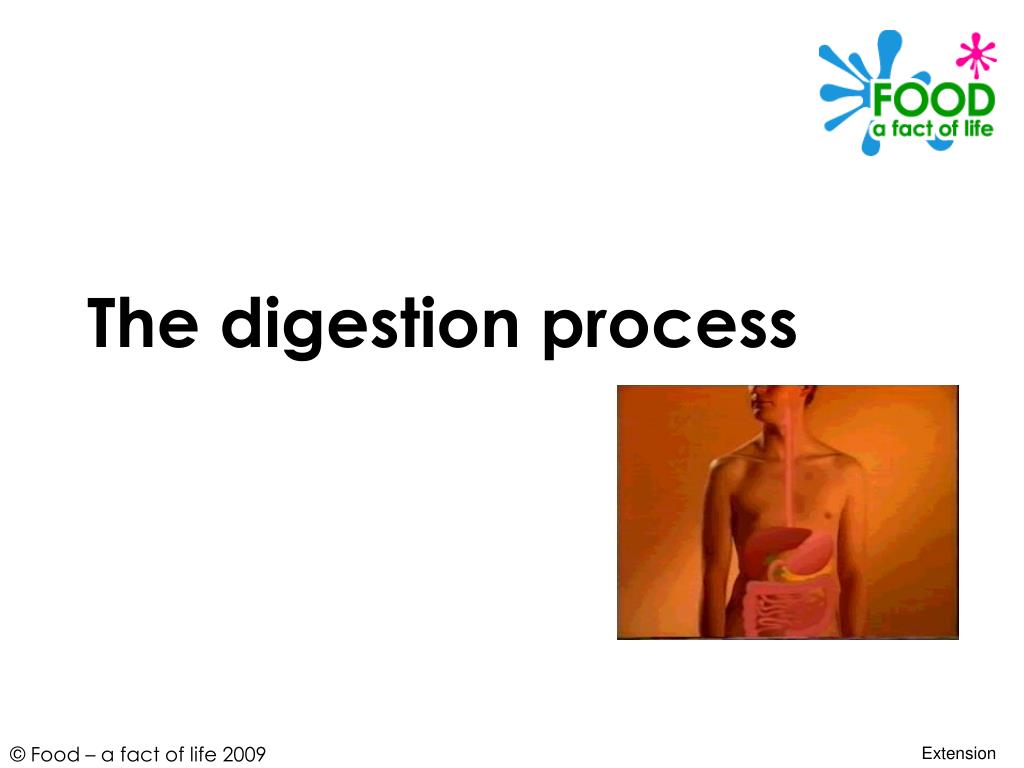 PPT - The digestion process PowerPoint Presentation, free download - ID ...