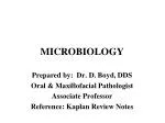 PPT - Microbiology: A Systems Approach, 2 nd ed. PowerPoint ...