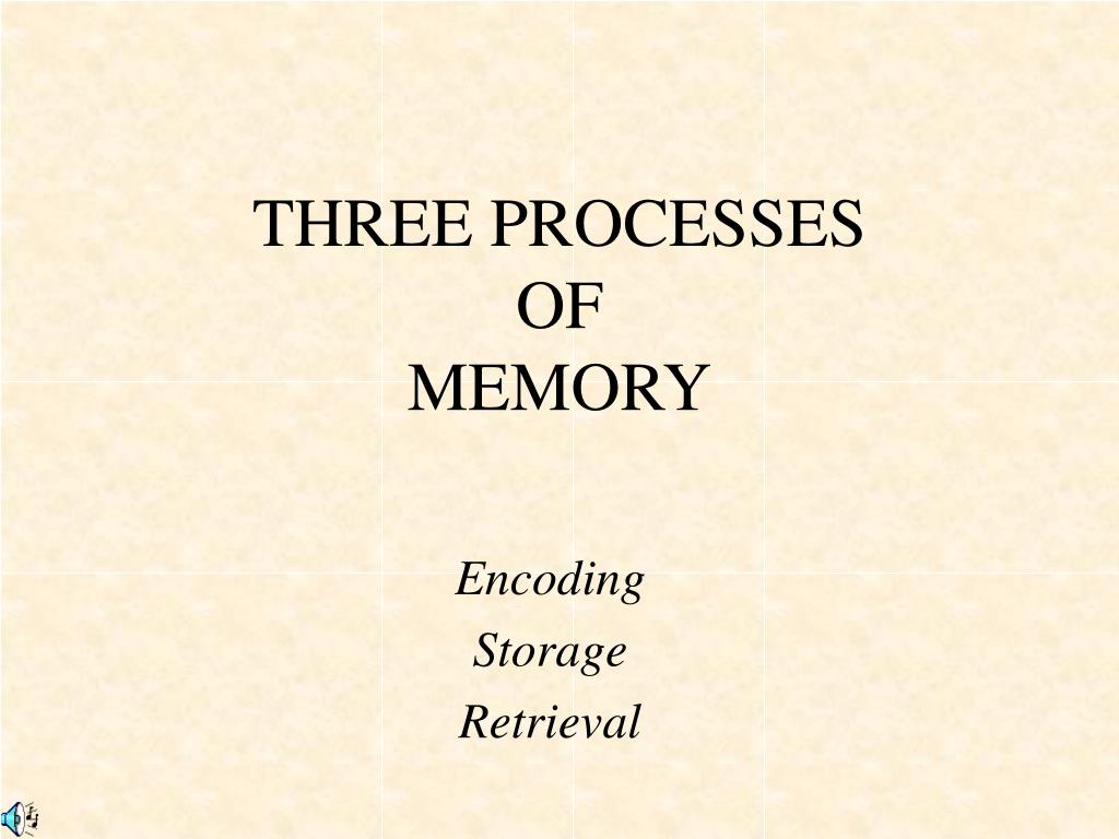 PPT - THREE PROCESSES OF MEMORY PowerPoint Presentation, free download ...