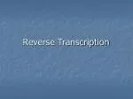 PPT - Reverse transcription PowerPoint Presentation, free download - ID ...
