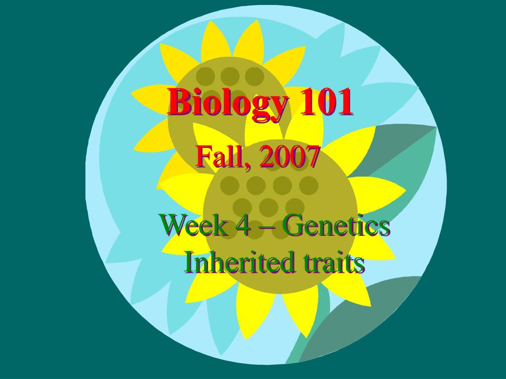 PPT - Biology 101 PowerPoint Presentation, free download - ID:1284845