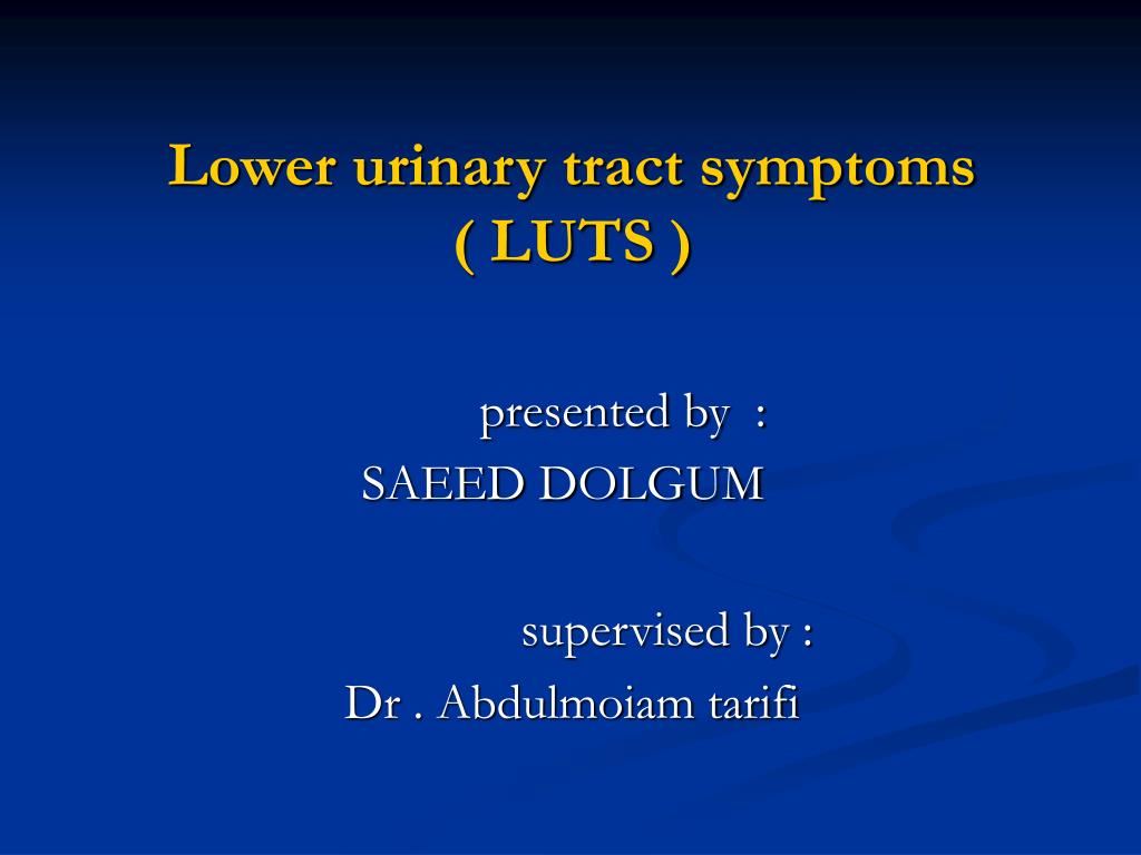 PPT - Lower urinary tract symptoms ( LUTS ) PowerPoint Presentation ...