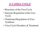 PPT - Urea cycle PowerPoint Presentation, free download - ID:6334881