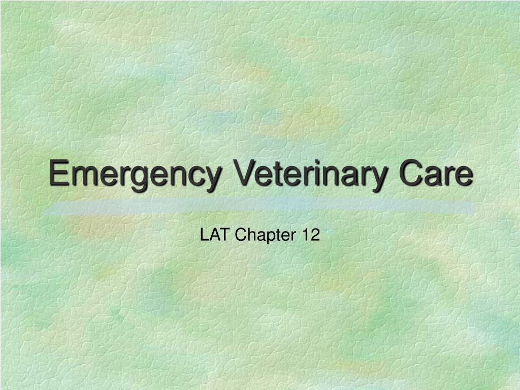 PPT - Emergency Veterinary Care PowerPoint Presentation, free download ...