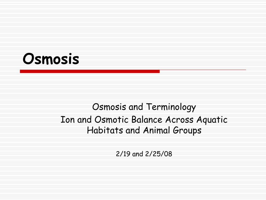PPT - Osmosis PowerPoint Presentation, free download - ID:1287596