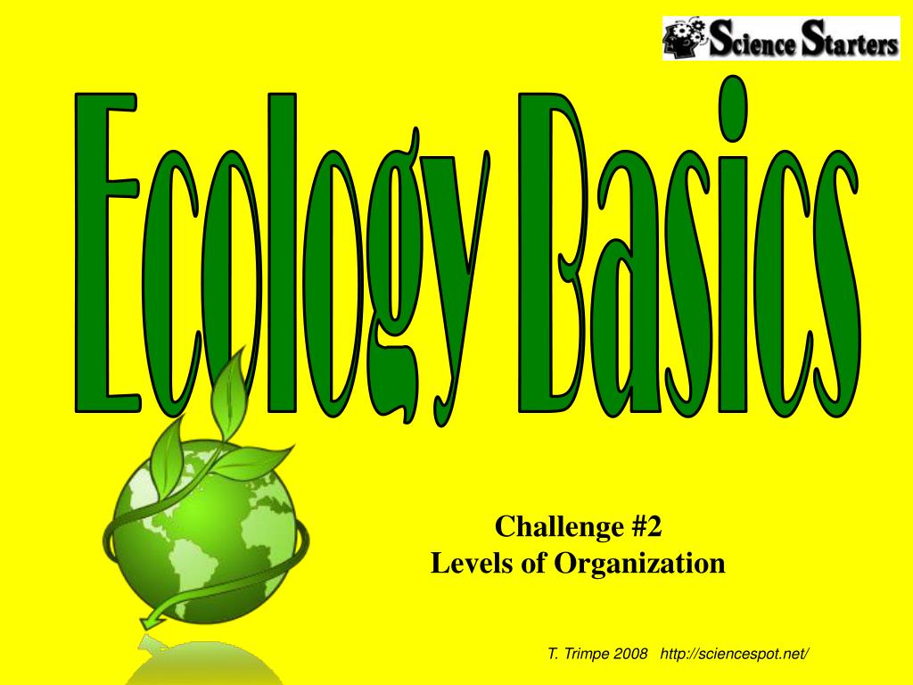 PPT - Ecology Basics PowerPoint Presentation, free download - ID:1287957