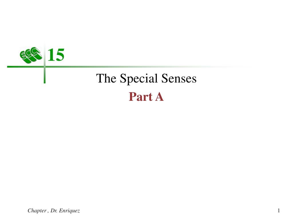 PPT - The Special Senses Part A PowerPoint Presentation, free download ...