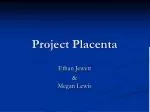PPT - PLACENTA PowerPoint Presentation, free download - ID:477900