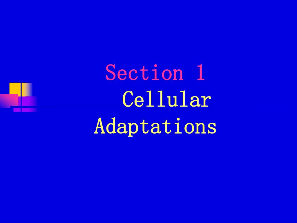PPT - Section 1 Cellular Adaptations PowerPoint Presentation, free ...