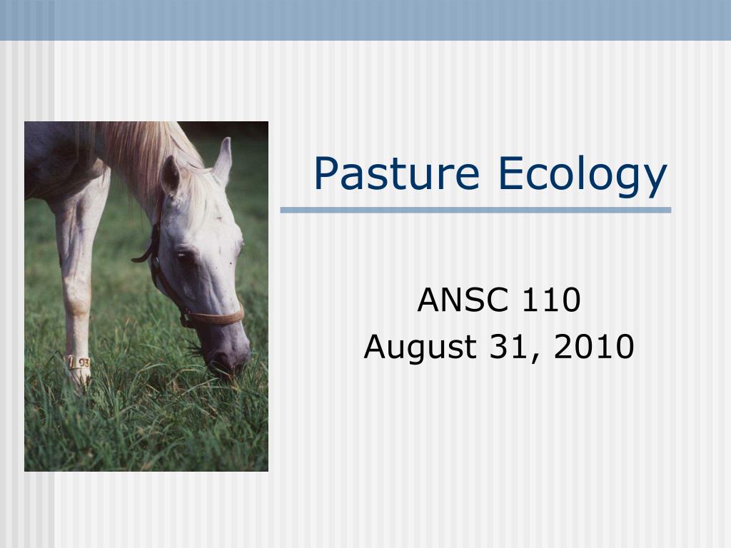 PPT - Pasture Ecology PowerPoint Presentation, free download - ID:1290759