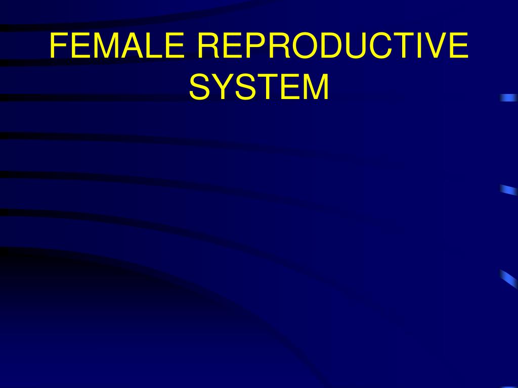 PPT - FEMALE REPRODUCTIVE SYSTEM PowerPoint Presentation, free download ...