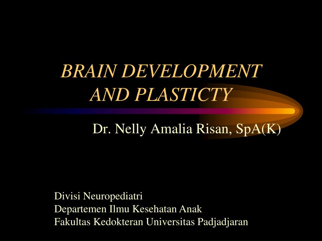 PPT - BRAIN DEVELOPMENT AND PLASTICTY PowerPoint Presentation, free ...