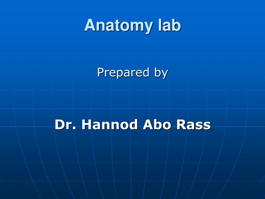PPT - Anatomy lab PowerPoint Presentation, free download - ID:1291554