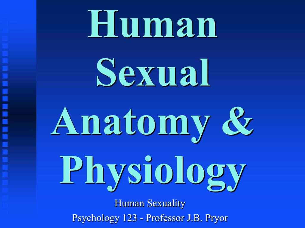 Ppt Human Sexual Anatomy And Physiology Powerpoint Presentation Free