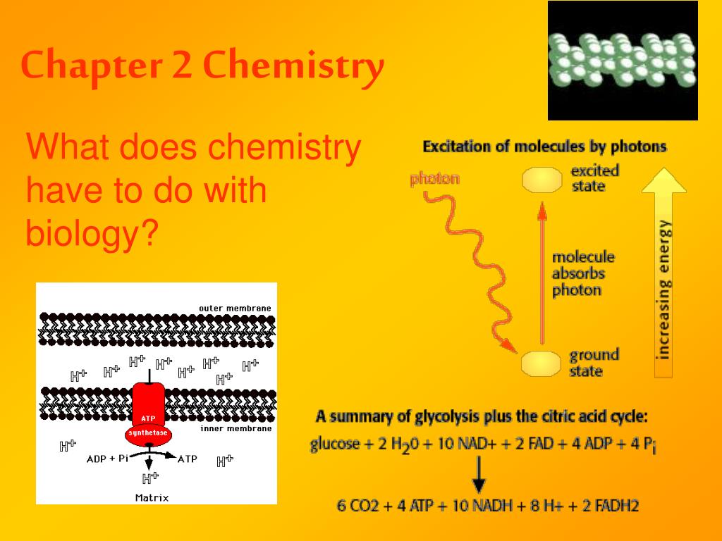PPT - Chapter 2 Chemistry PowerPoint Presentation, free download - ID ...