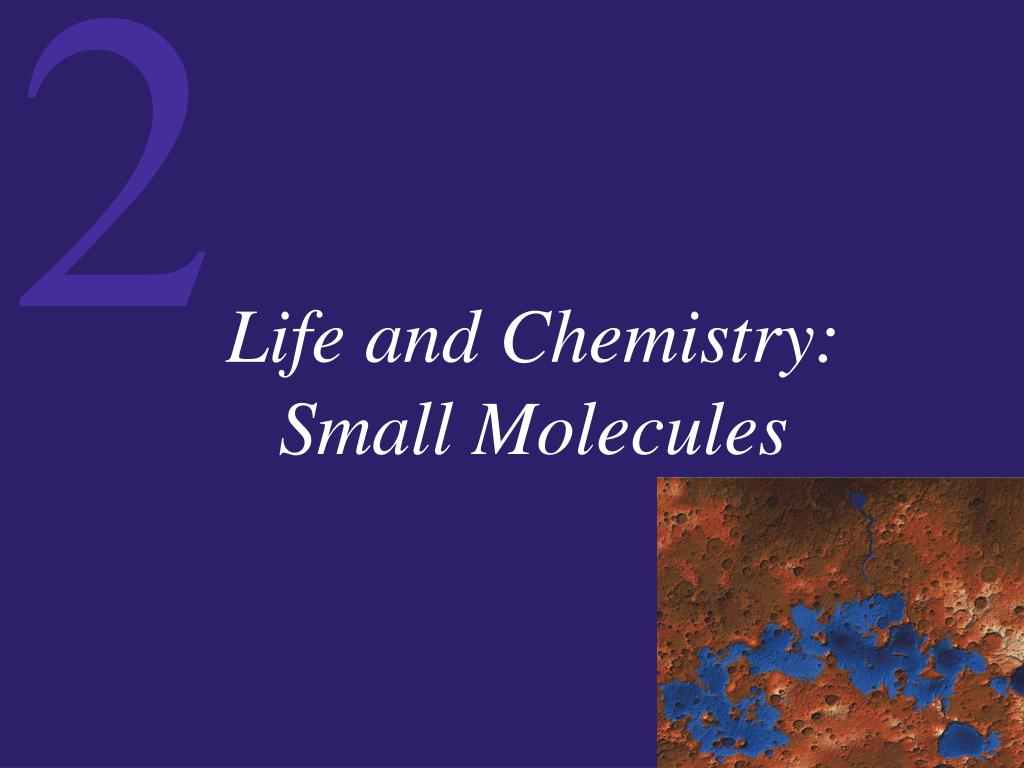 PPT - Life and Chemistry: Small Molecules PowerPoint Presentation, free ...