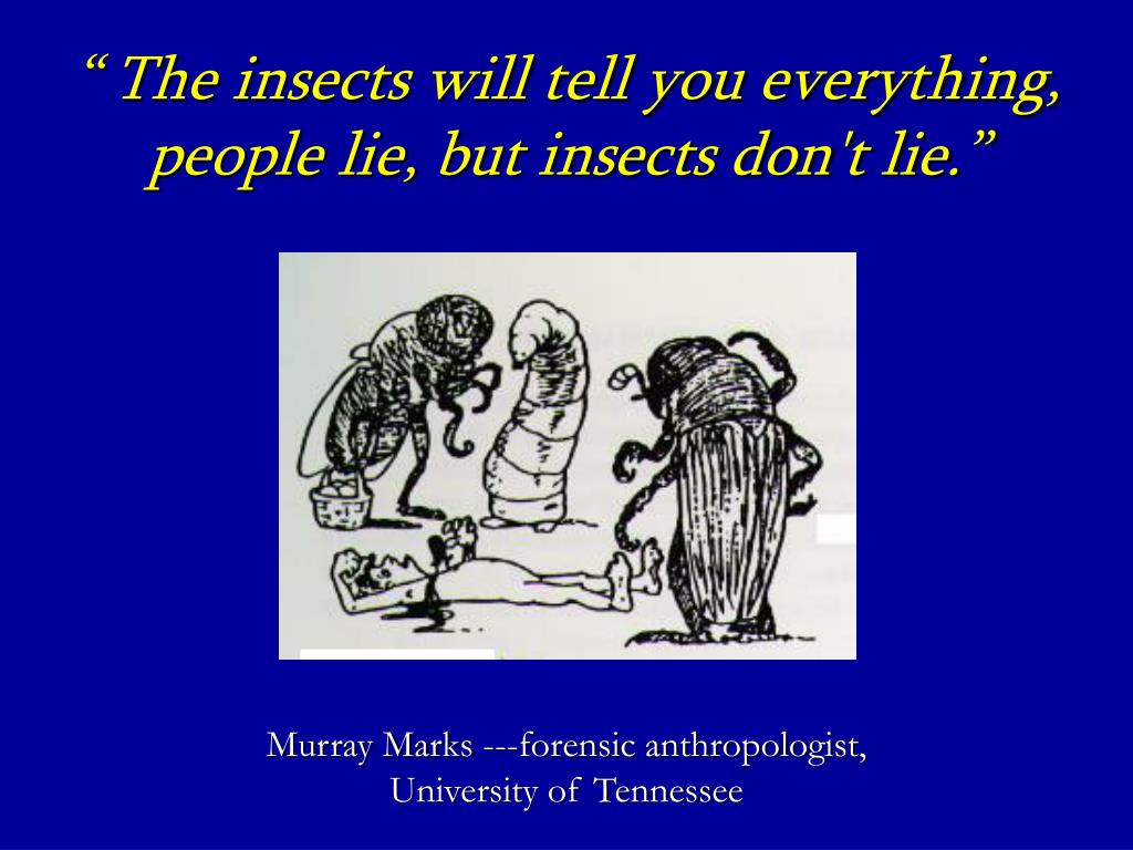 PPT - “ The insects will tell you everything, people lie, but insects ...