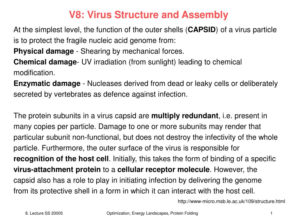 PPT - V8: Virus Structure and Assembly PowerPoint Presentation, free ...