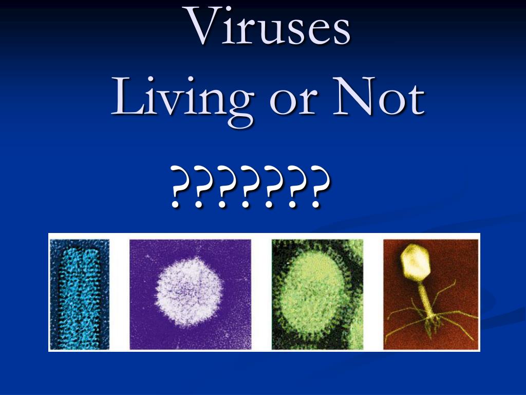 PPT - Viruses Living or Not PowerPoint Presentation, free download - ID ...