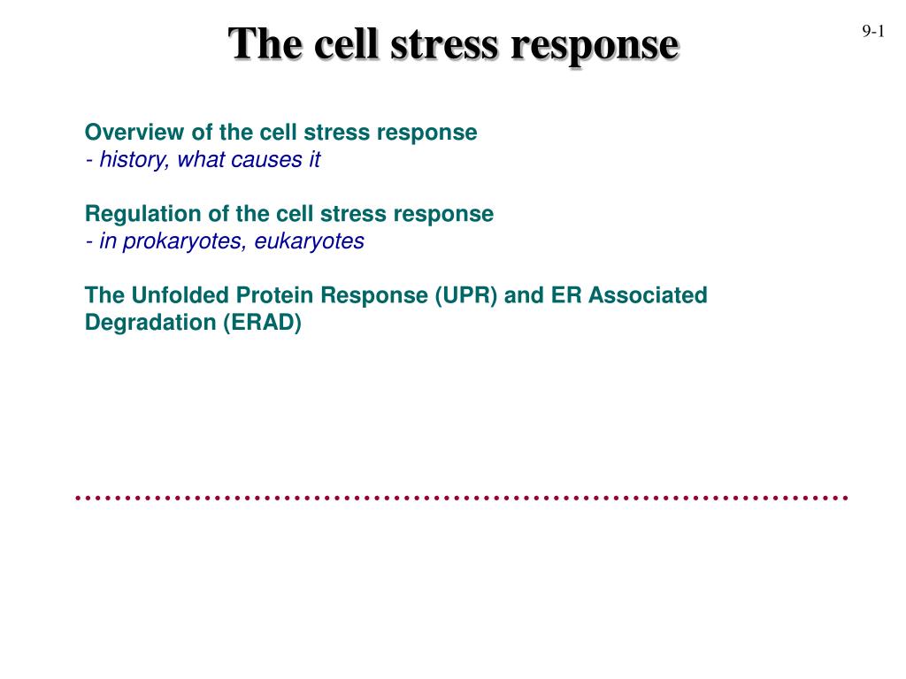 PPT - The cell stress response PowerPoint Presentation, free download ...