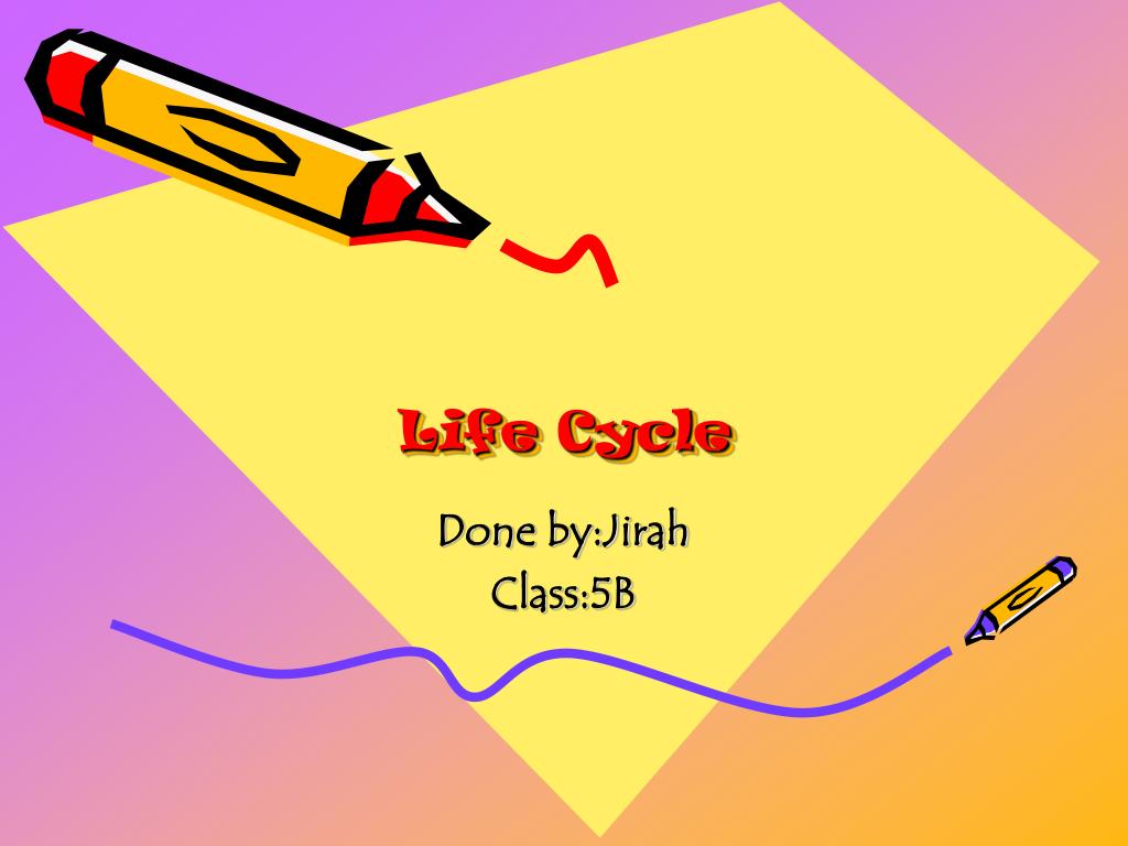 PPT - Life Cycle PowerPoint Presentation, free download - ID:1297863
