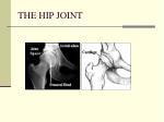 PPT - Hip Joint PowerPoint Presentation, free download - ID:9181754