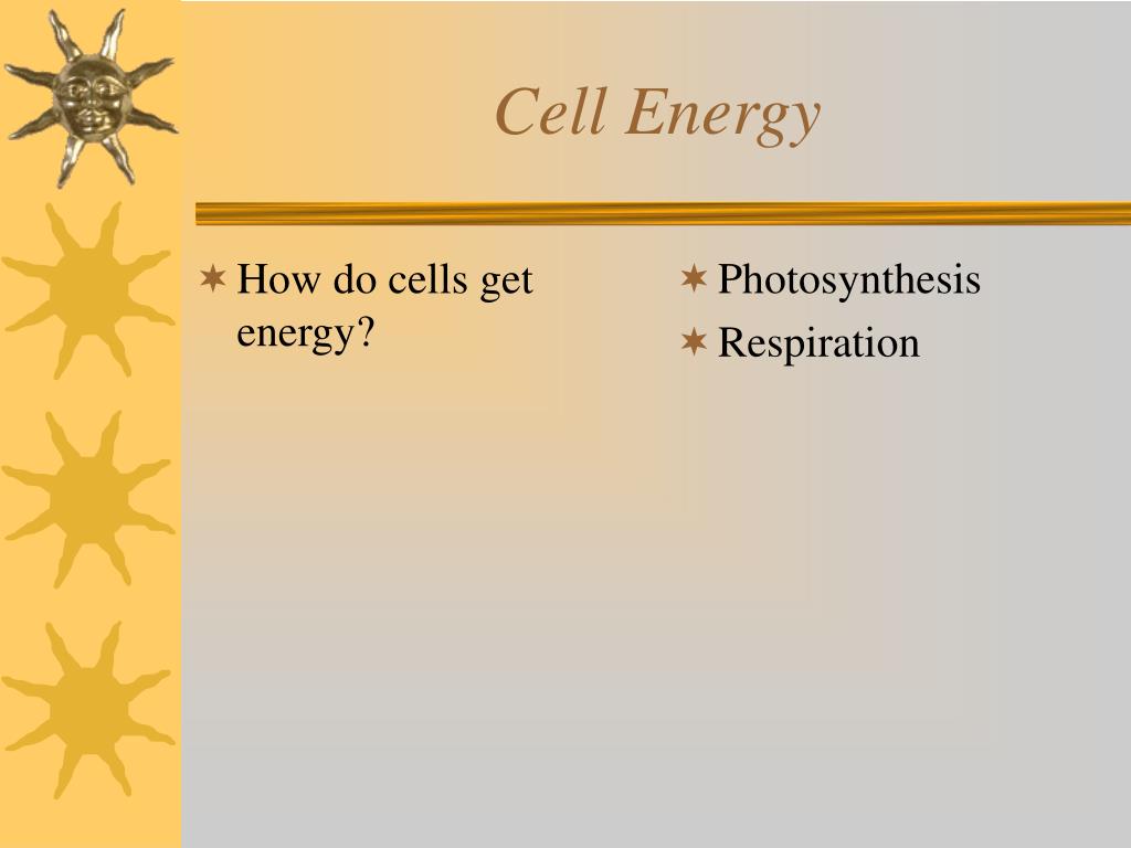 PPT - Cell Energy PowerPoint Presentation, free download - ID:1301222