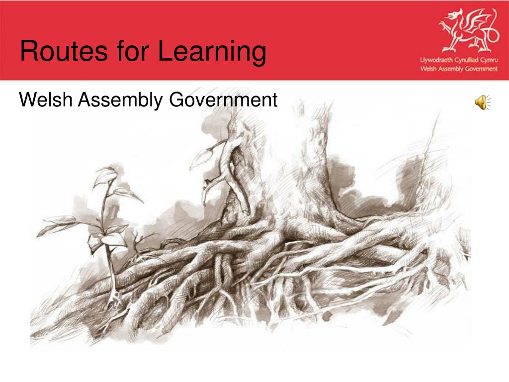 PPT - Welsh Assembly Government PowerPoint Presentation, free download ...
