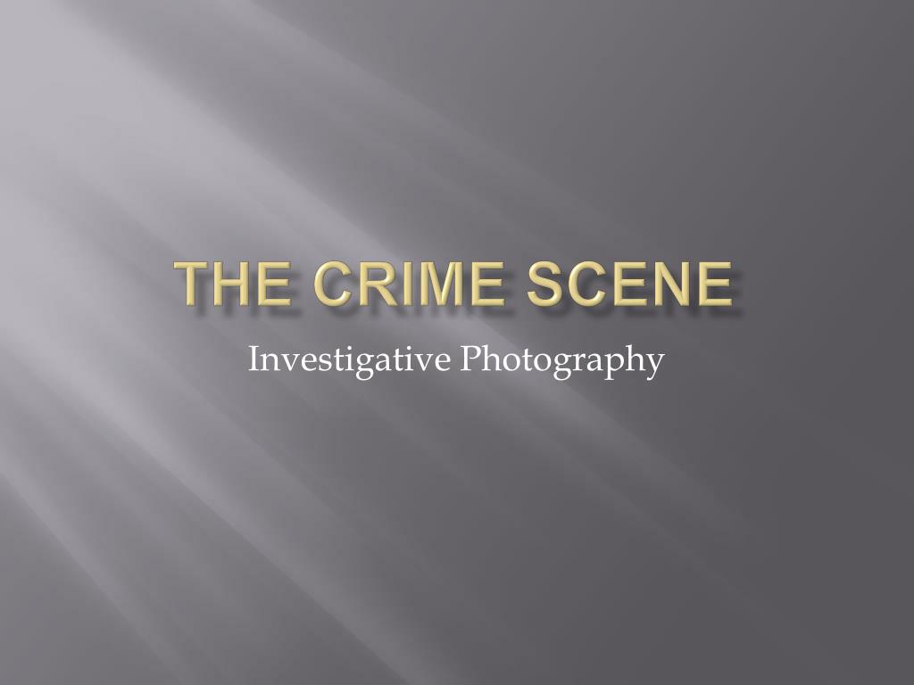 PPT - The Crime Scene PowerPoint Presentation, free download - ID:1308846