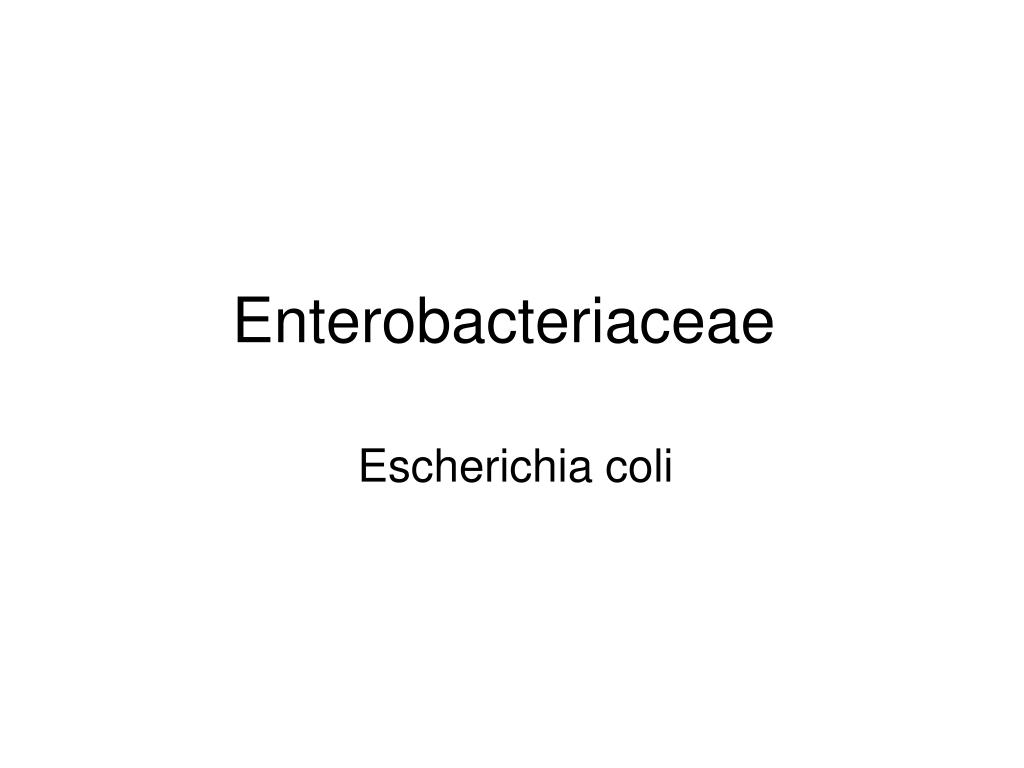 PPT - Enterobacteriaceae PowerPoint Presentation, free download - ID ...