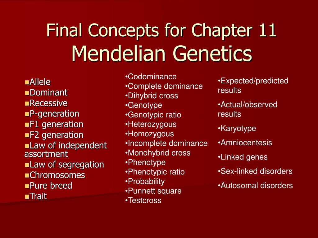 PPT - Final Concepts for Chapter 11 Mendelian Genetics PowerPoint ...