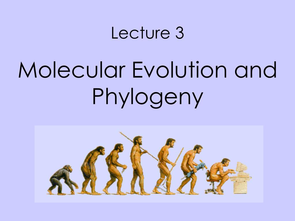 PPT - Lecture 3 Molecular Evolution and Phylogeny PowerPoint ...