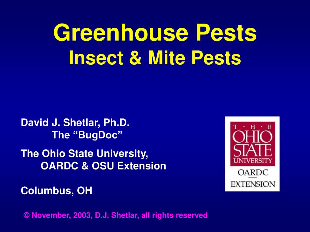 PPT - Greenhouse Pests Insect & Mite Pests PowerPoint Presentation - ID ...