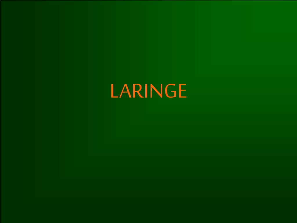PPT - LARINGE PowerPoint Presentation, free download - ID:1326144